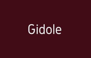 Gidole Font Free Download - Font Sonic