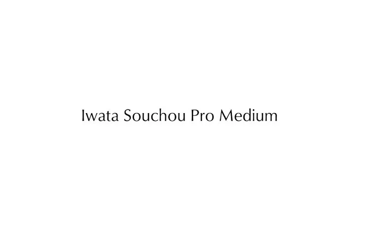 Iwata Souchou Pro Medium Font Free Download - Font Sonic